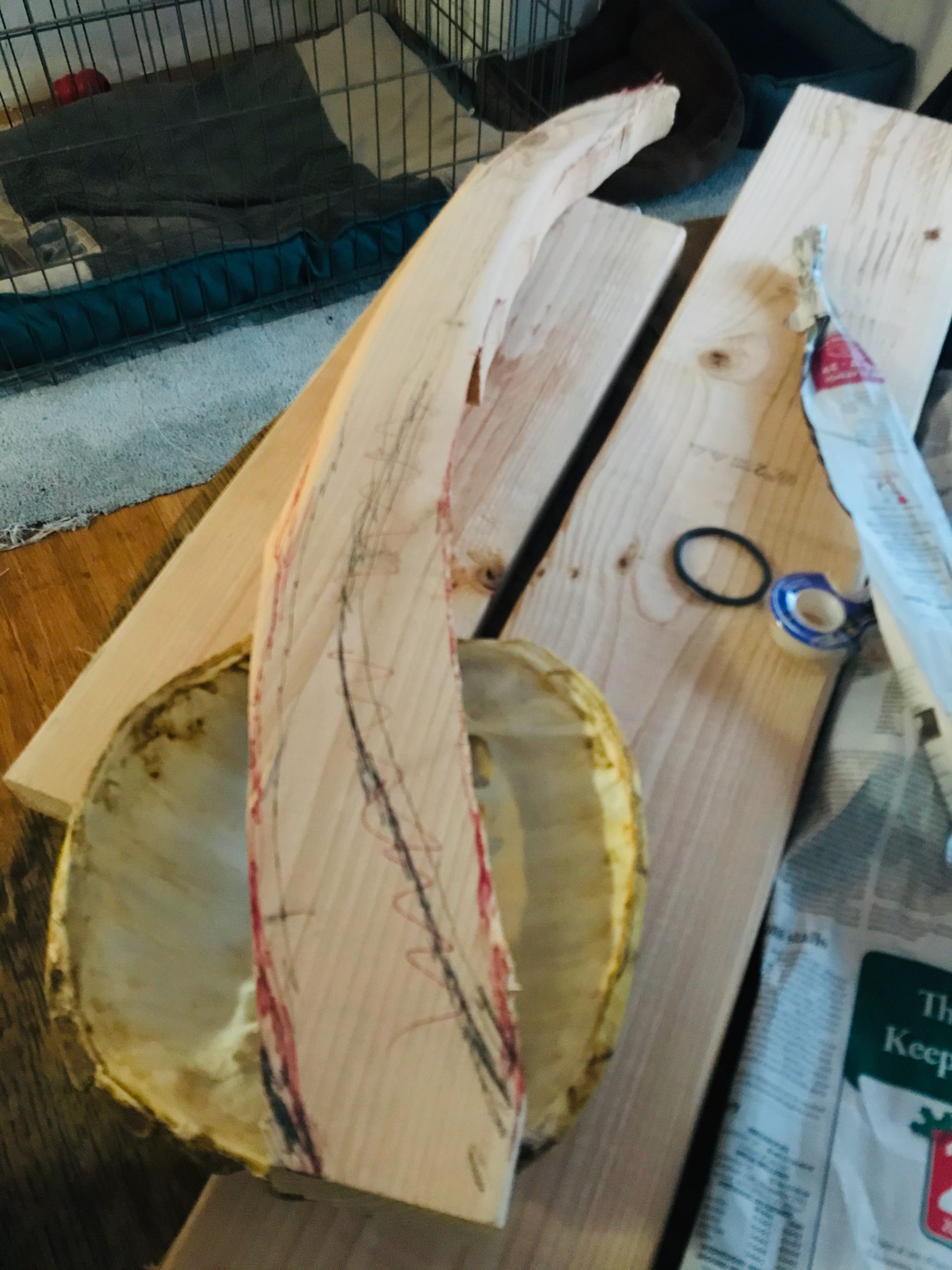 Beginning My Final Lyre – Playing Sappho